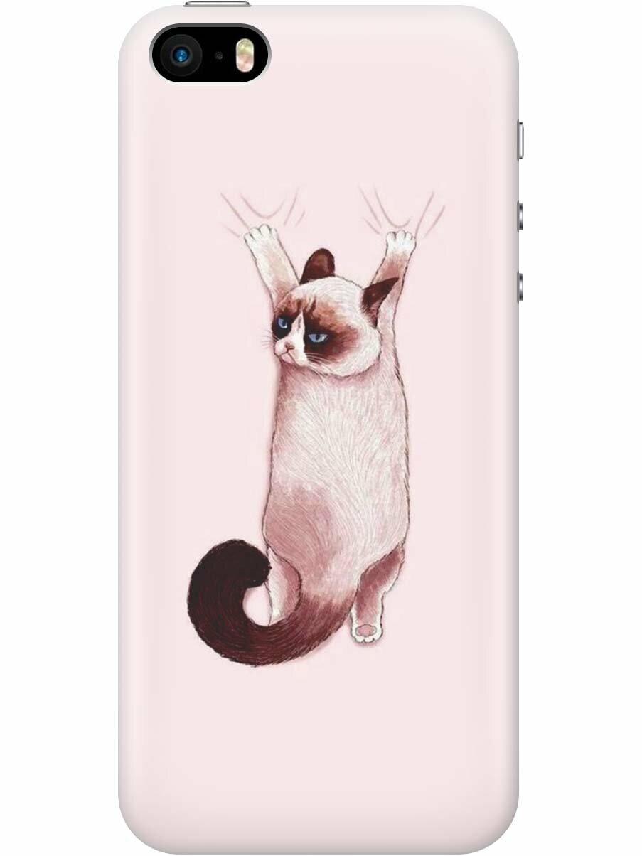 Силиконовый чехол на Apple iPhone SE / 5s / 5 / Эпл Айфон 5 / 5с / СЕ с рисунком "Недовольный кот"
