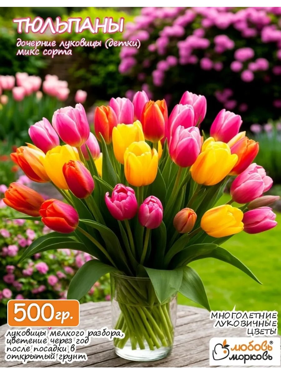 Тюльпан Луковица, дочерние, 500г