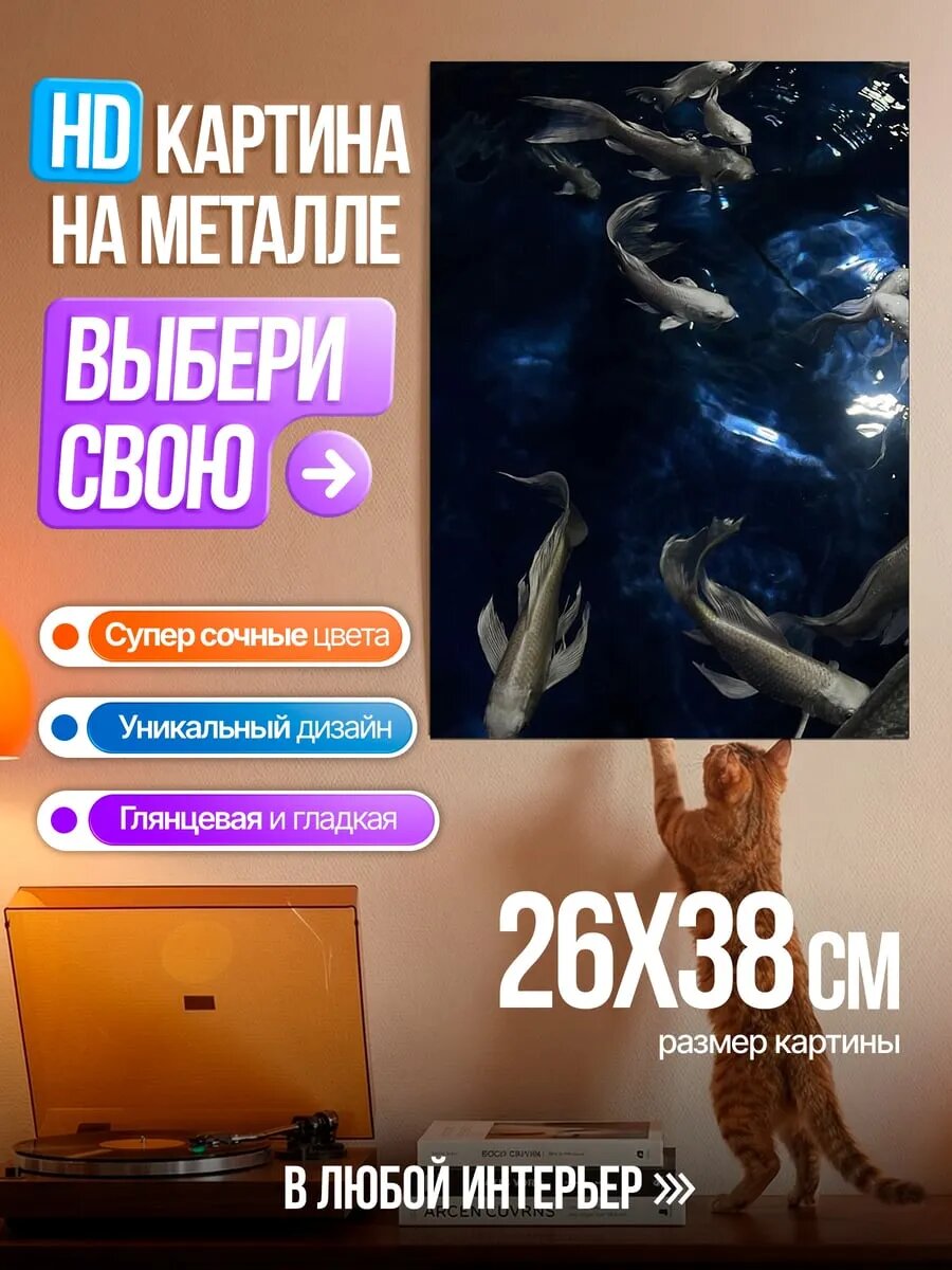 Картина на HD металле Стая рыб кои