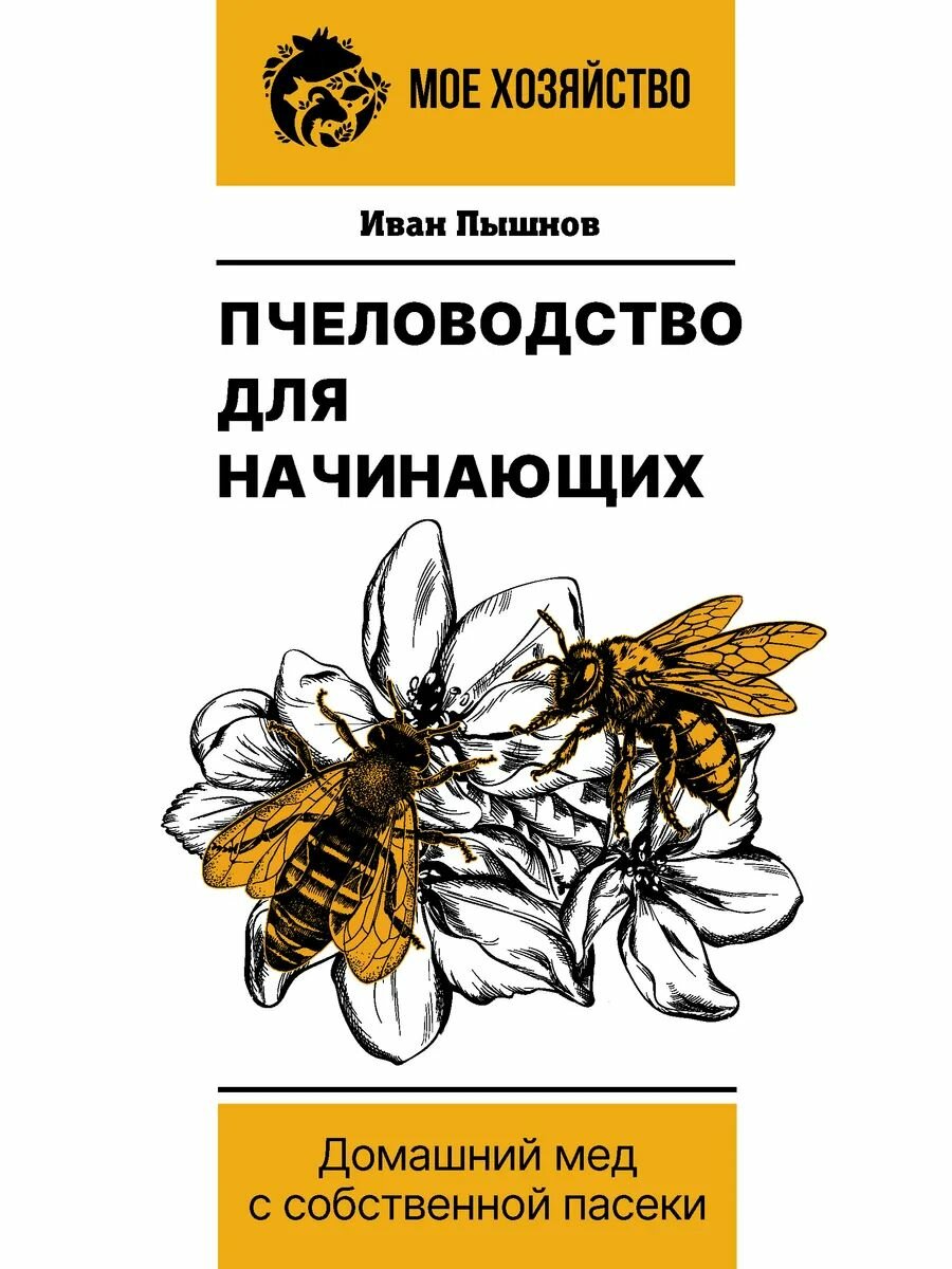 Пчеловодство для начинающих. Домашний мед с собственной