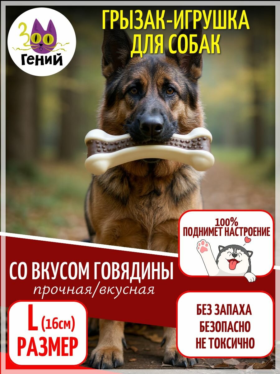 Жевательная кость 2в1 для крупных собак размер L (16 см) - прочная игрушка и лакомство со вкусом говядины