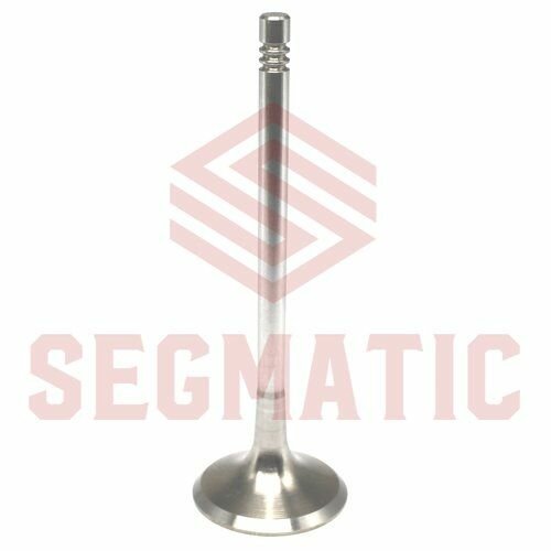 Клапан двигателя впускной Segmatic SGIV1010