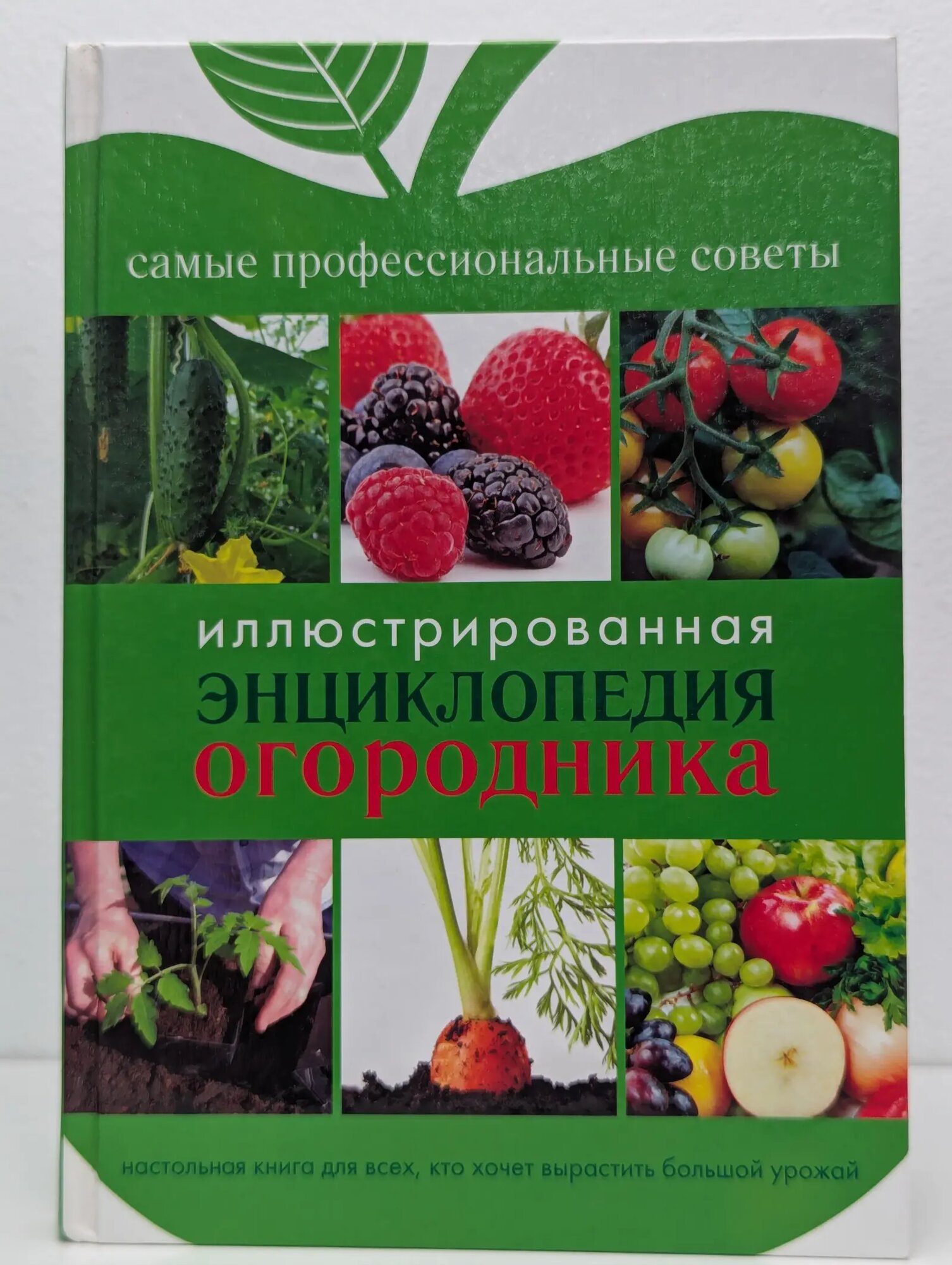 Иллюстрированная энциклопедия огородника Чебаева Светлана Олеговна (сост.) 2010