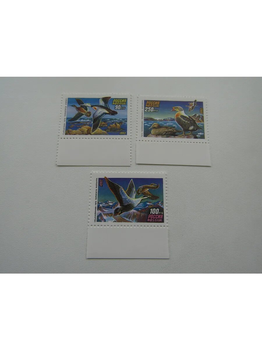Марки. Флора и фауна. Россия. 1993. Утки, 3 штуки