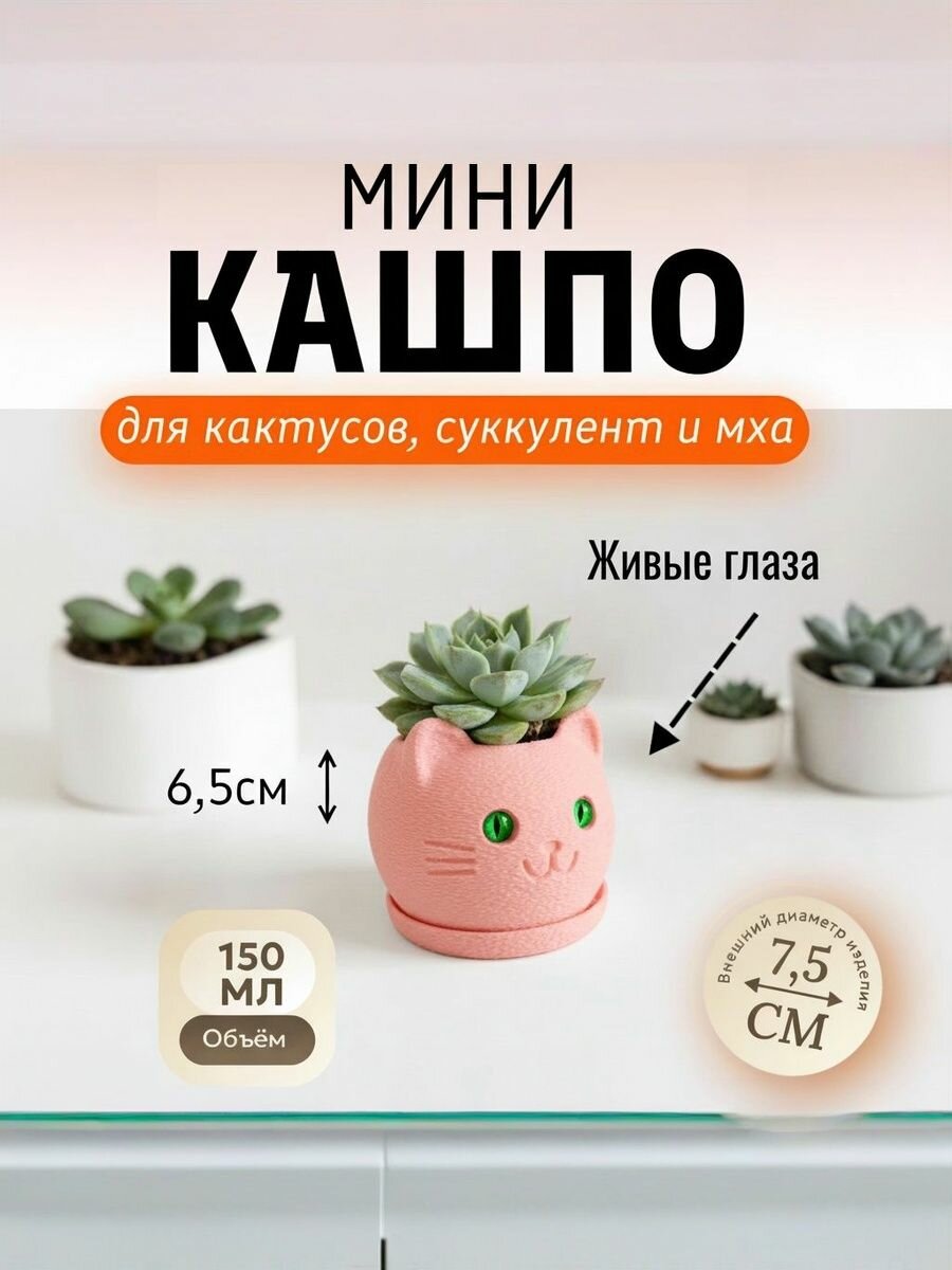Кашпо мини - "Котик" для кактусов и суккулентов, объем 0,15 л, с глазками