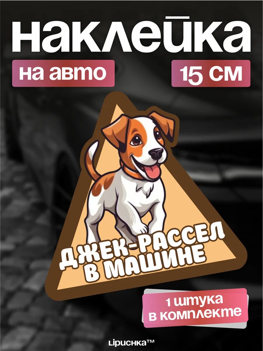 Наклейки на авто Джек Рассел в машине