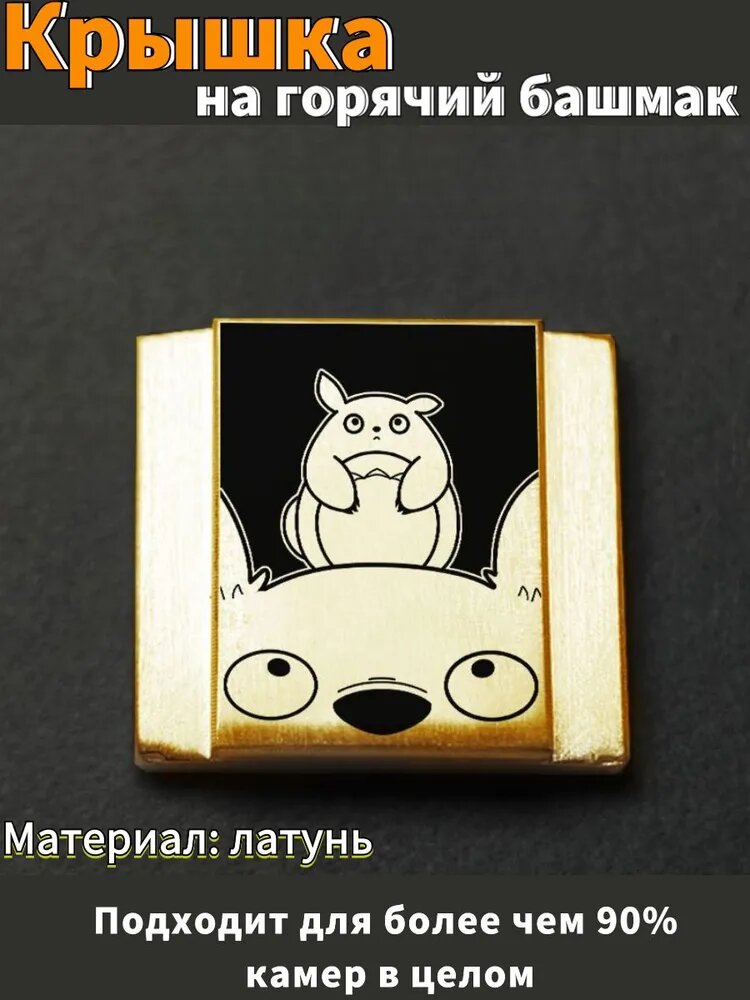 Защитная заглушка на горячий башмак 43