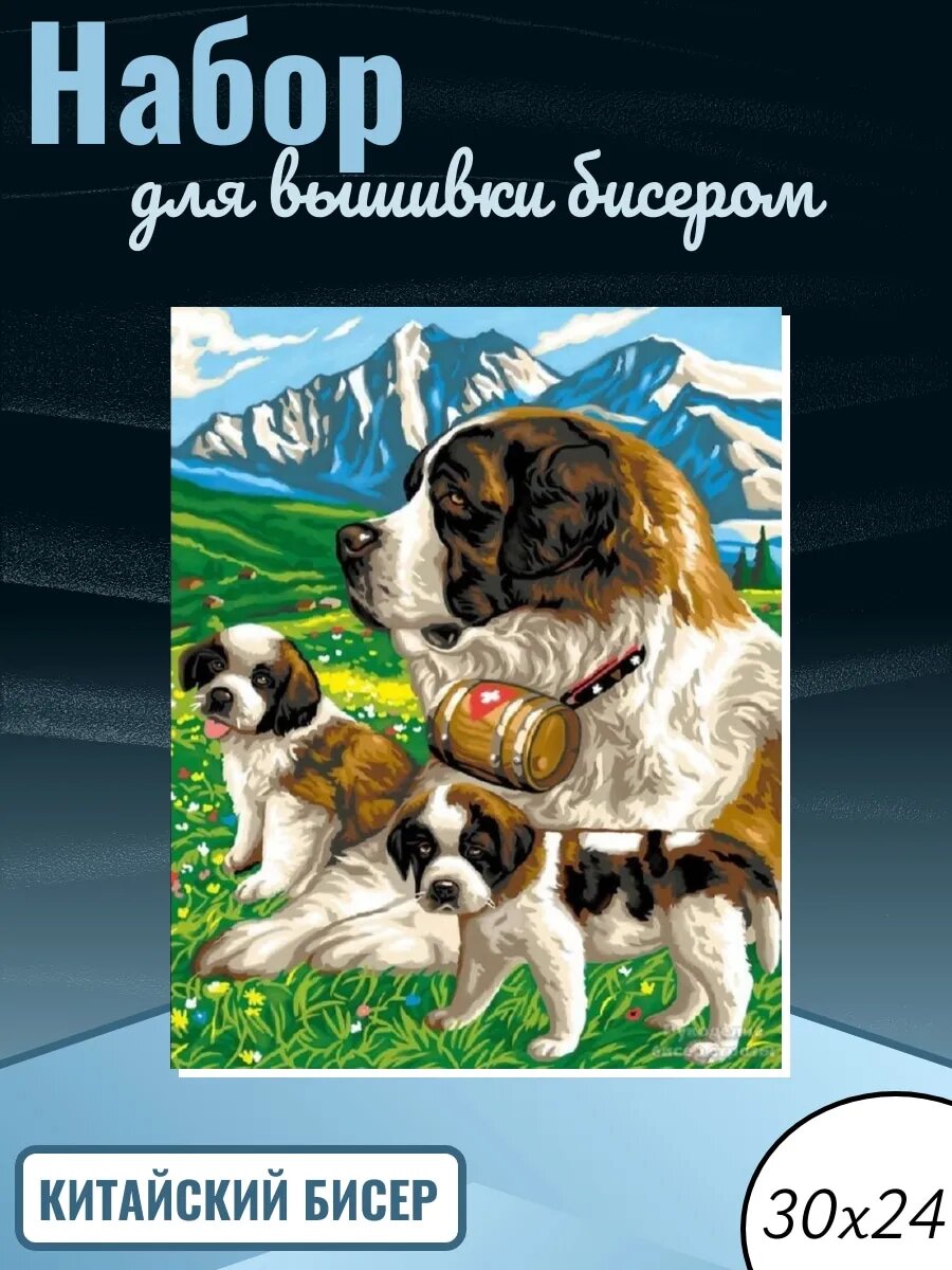 Набор для вышивания бисером "Сенбернары" 24х30 см, цветная схема