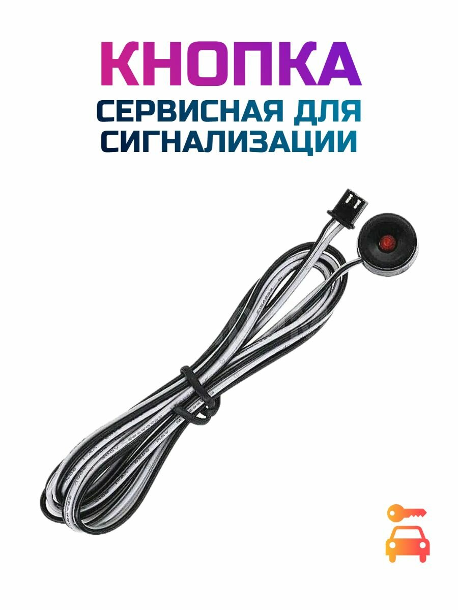 Кнопка сервисная (Valet) для автосигнализаций. Подходит к сигнализациям Starline, Tomahawk