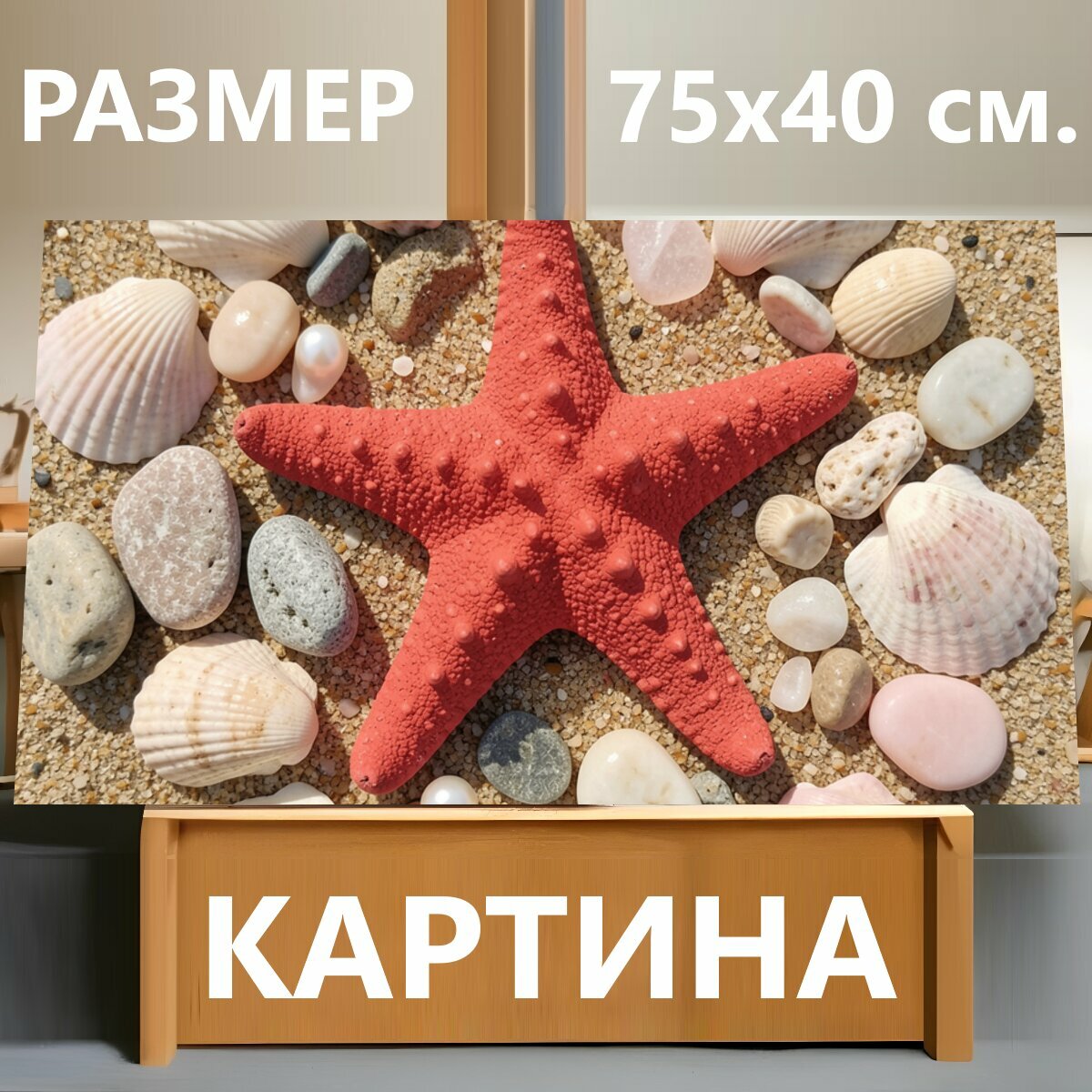 Картина на холсте "Красная морская звезда и ракушки. Яркая коралловая морская звезда среди нежных раковин, гладкой гальки и мелких камней на." на подрамнике 75х40 см. для интерьера