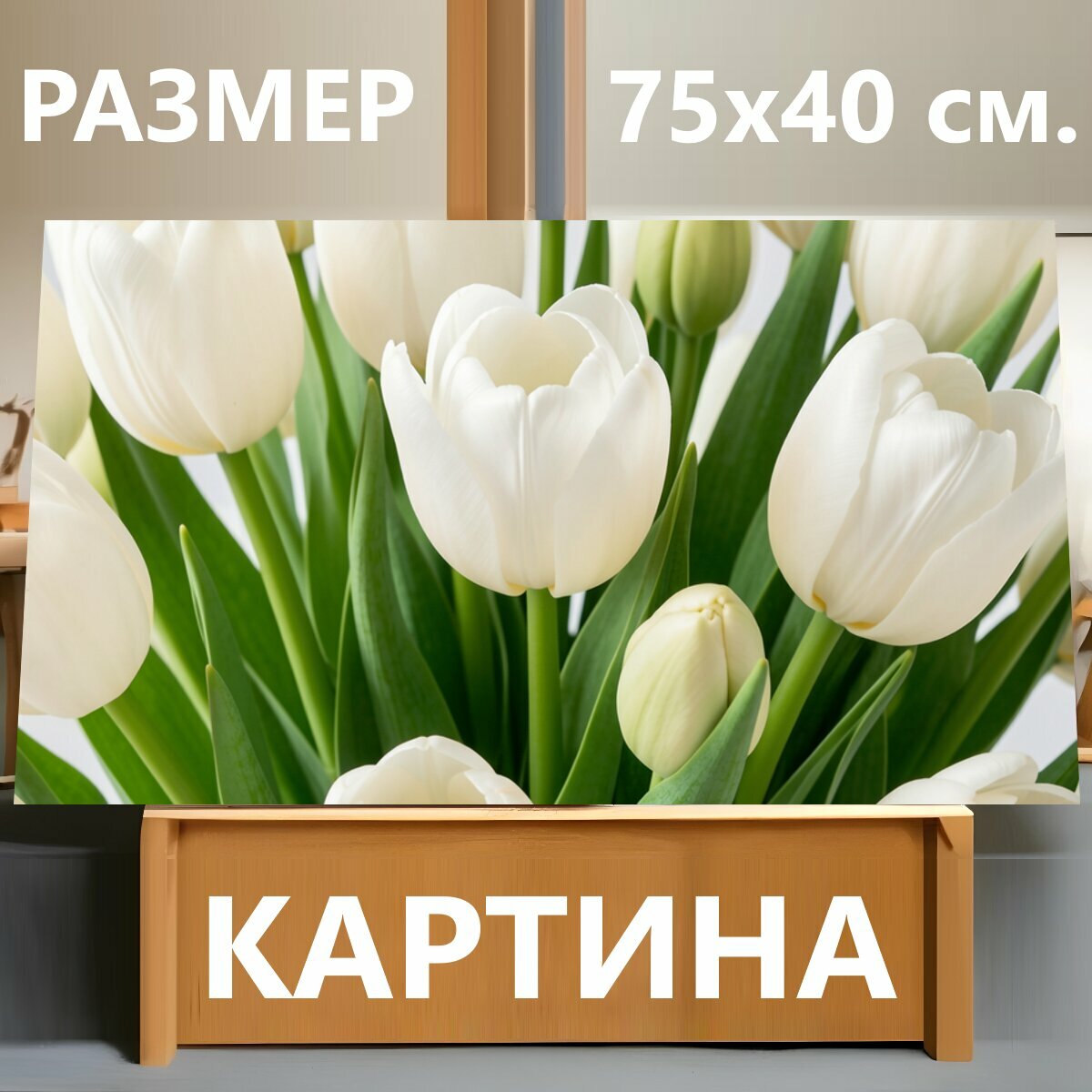 Картина на холсте "Белые тюльпаны на светлом фоне. Нежная весенняя композиция из белоснежных бутонов и зелёных листьев, воздушная светлая." на подрамнике 75х40 см. для интерьера