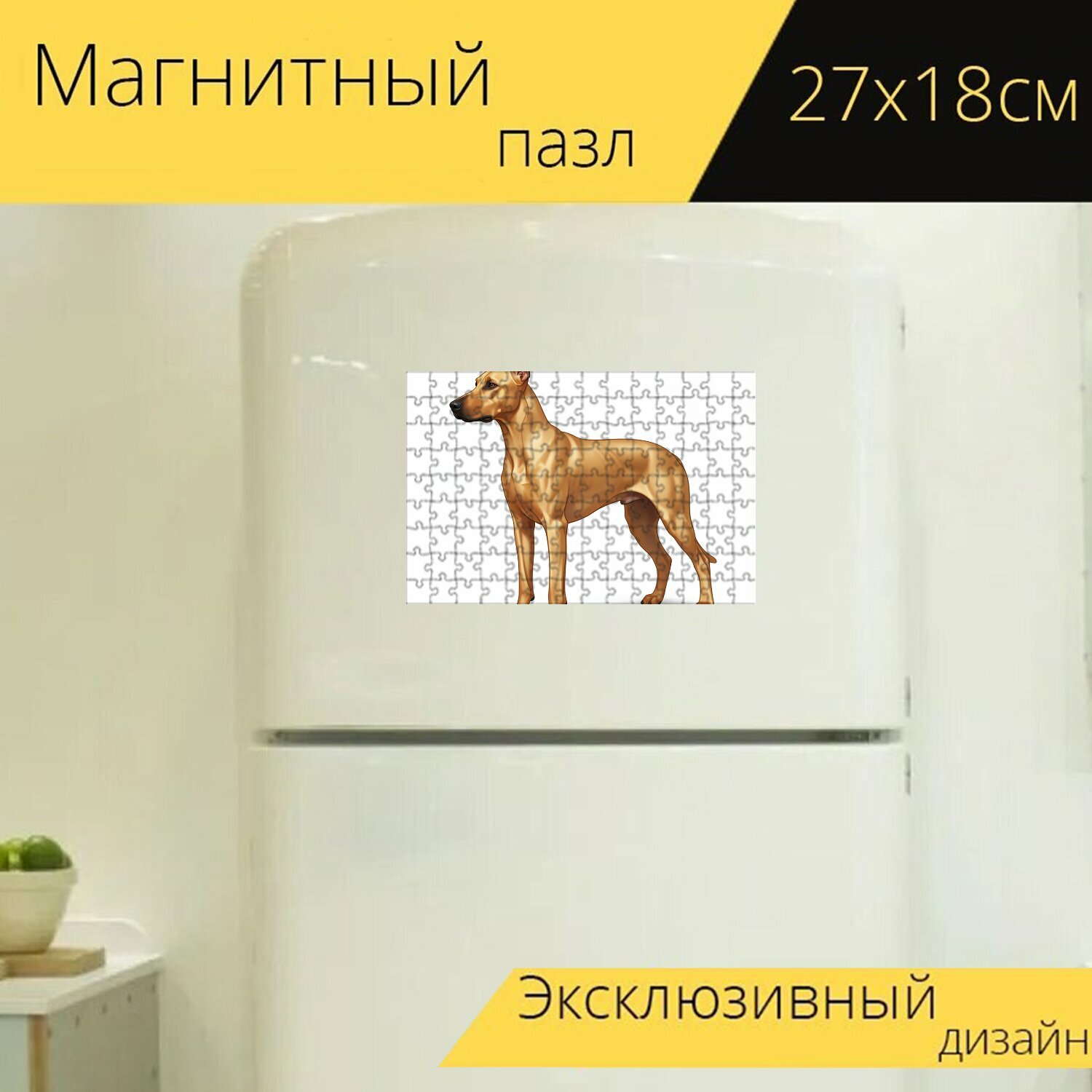 Магнитный пазл "Стоящая африканская борзая. Изящная собака с короткой золотистой шерстью, длинными лапами и стоячими ушами, изображена в реалистичном." на холодильник 27 x 18 см.