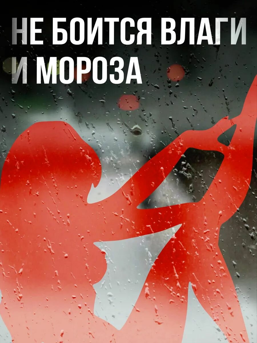Наклейка на авто Девушка — фото 1