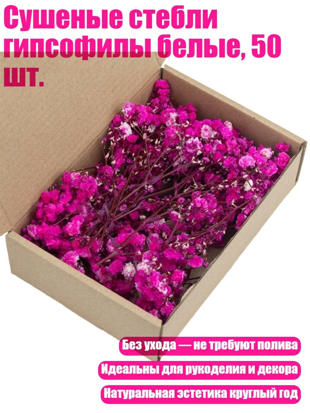 Сушеные стебли гипсофилы белые, 50 шт, 8