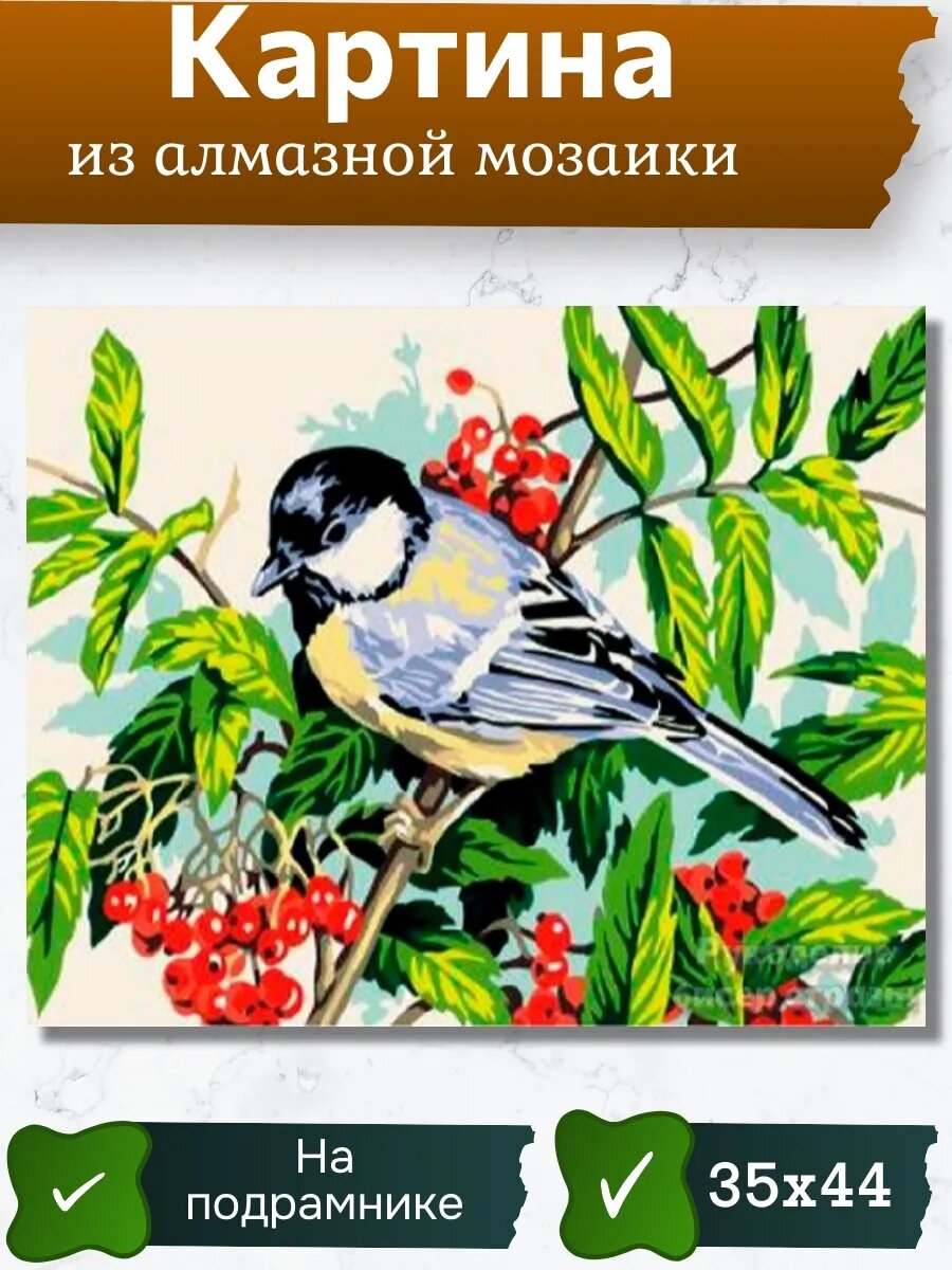 Алмазная мозаика на подрамнике 35х44