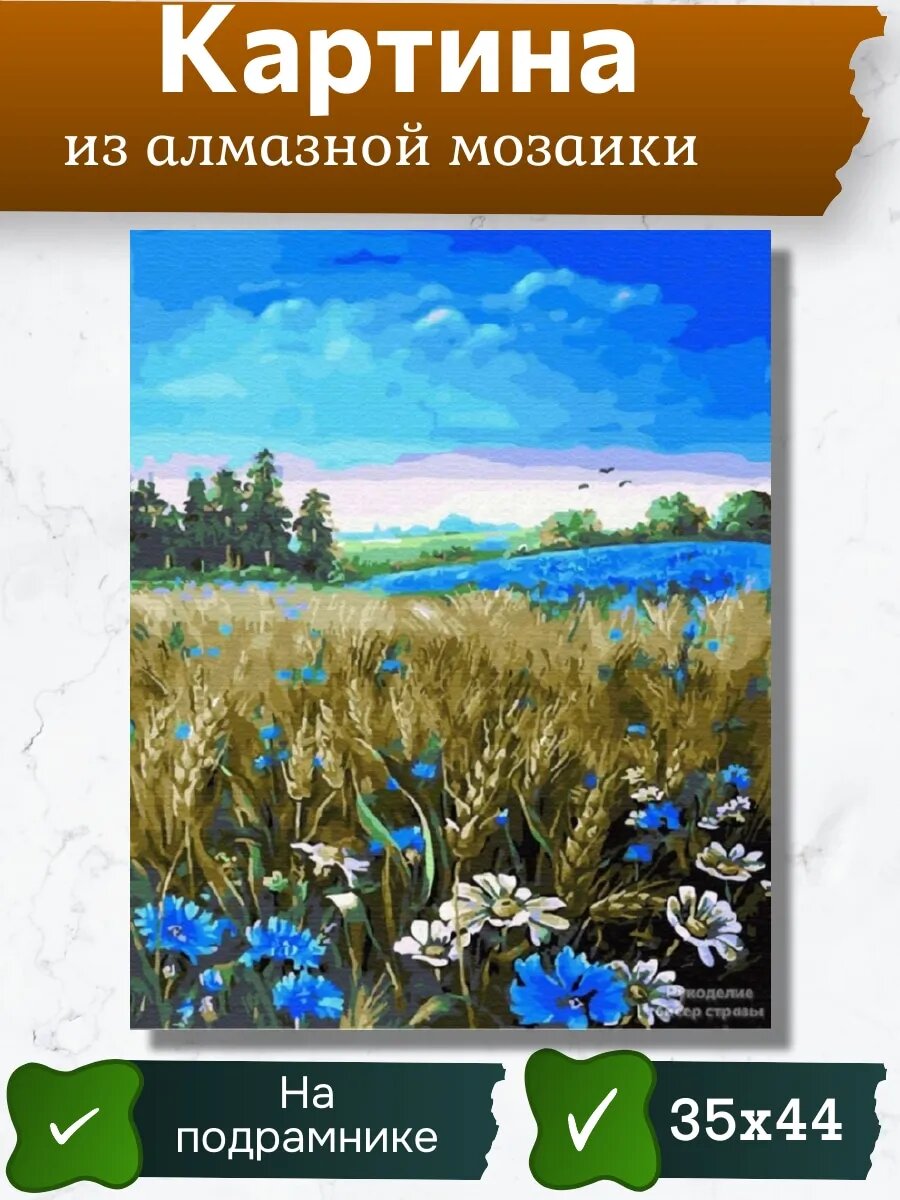 Алмазная мозаика на подрамнике 35х44