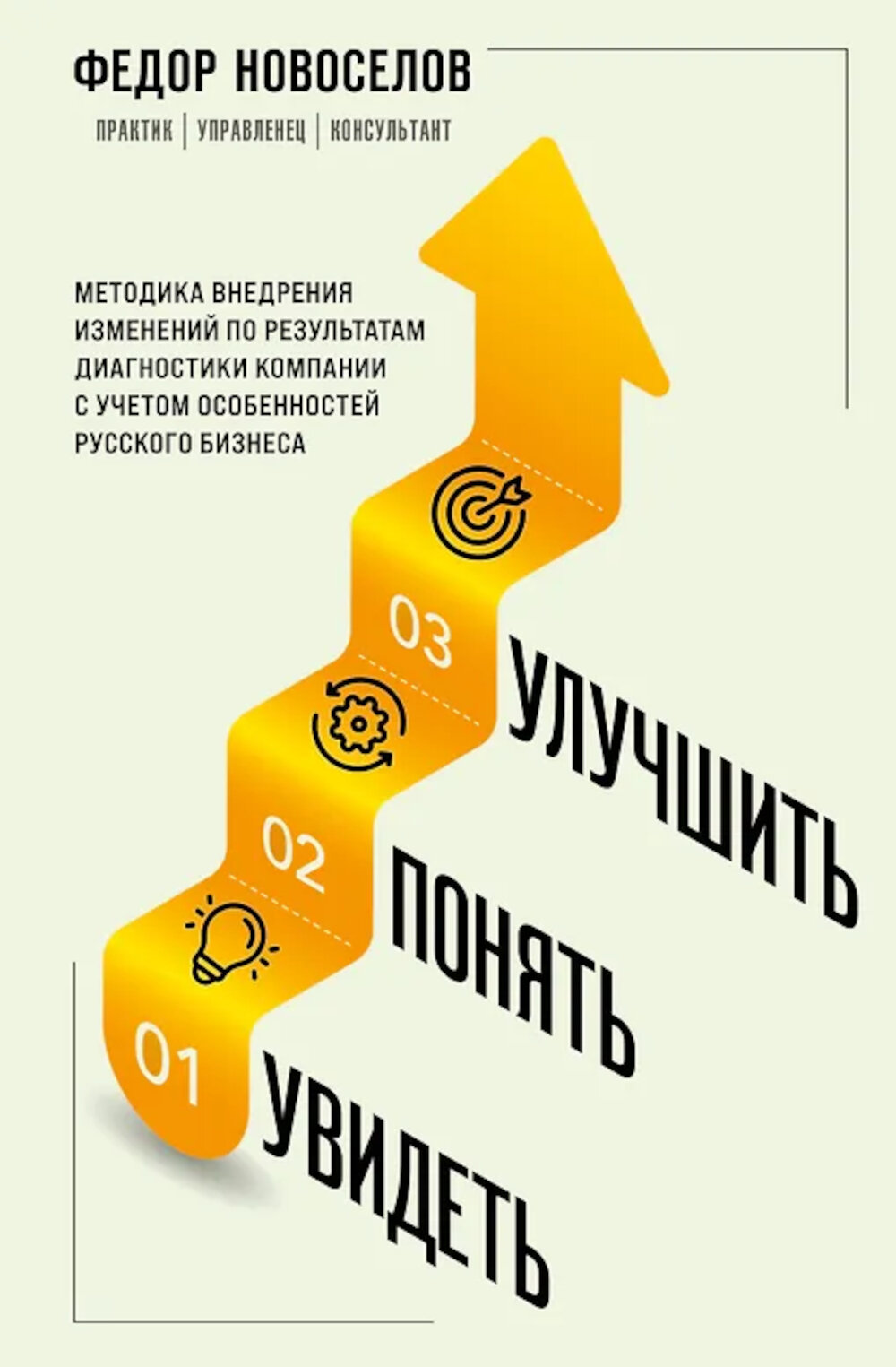 Увидеть. Понять. Улучшить. Методика внедрения изменений, по результатам диагностики компании, с учетом особенностей русского бизнеса. Новоселов Ф. А.