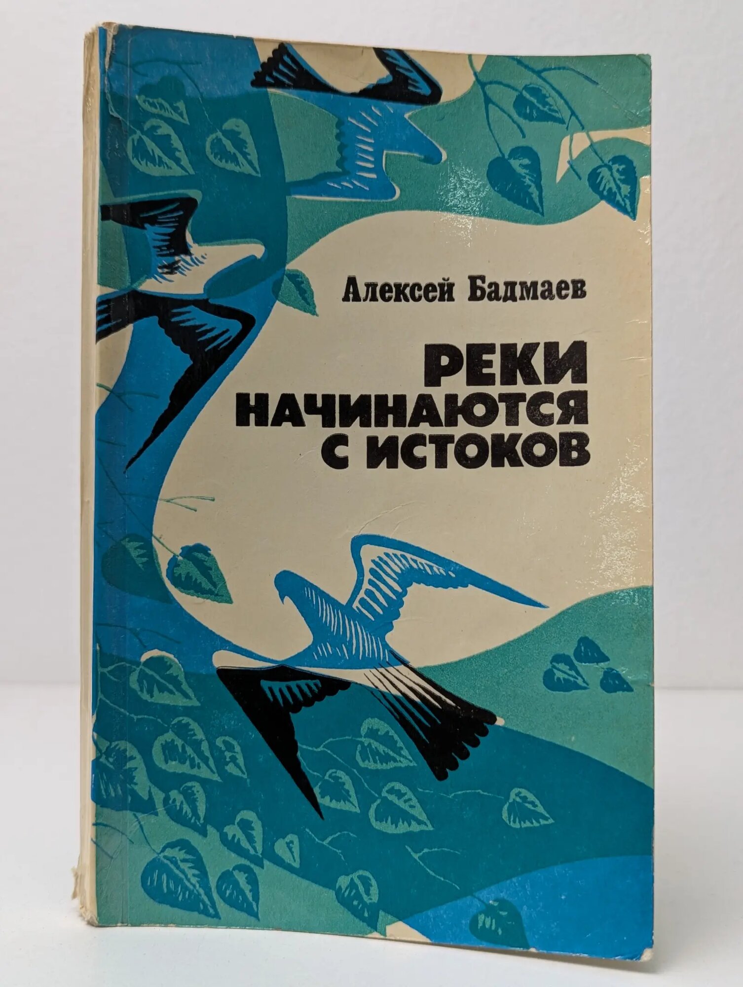 Реки начинаются с истоков Бадмаев Алексей Б. 1983