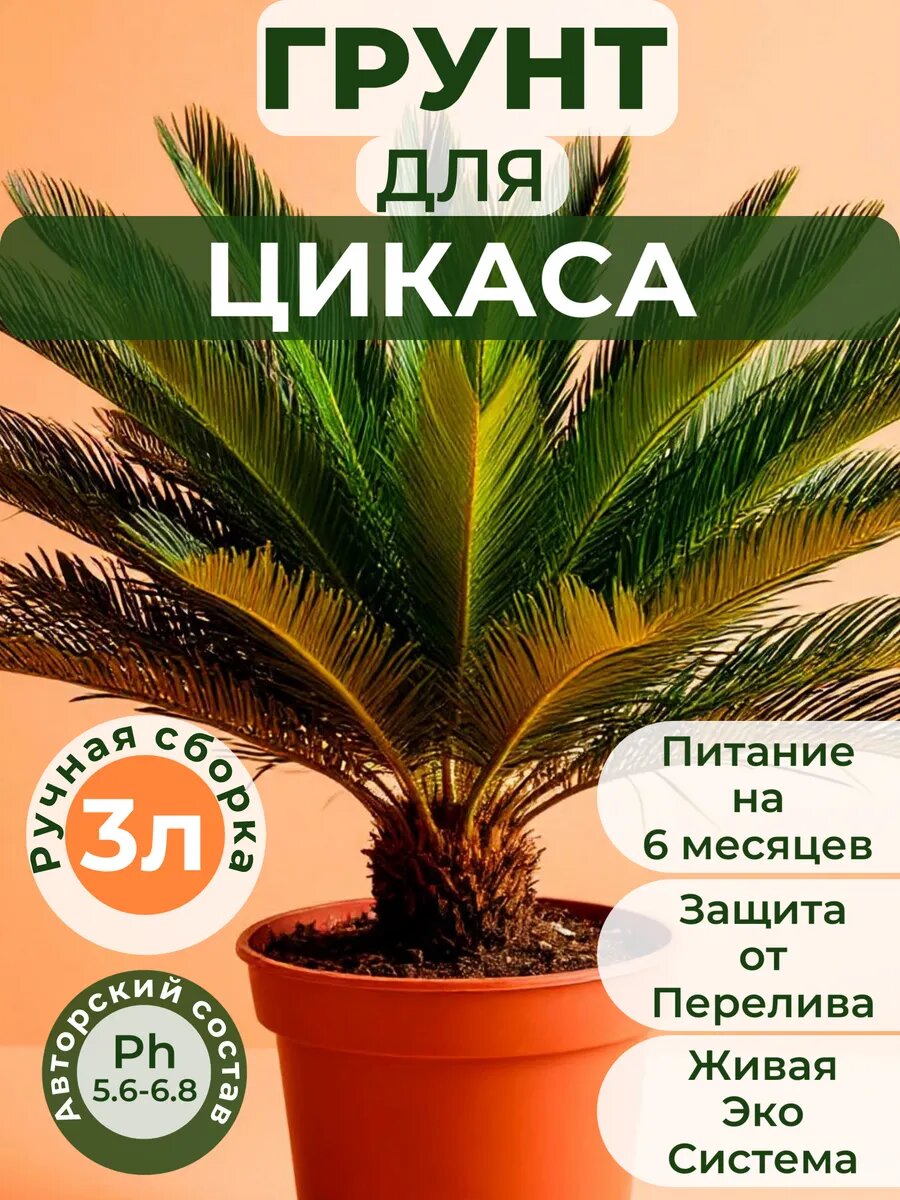 Готовый авторский грунт для Цикаса премиум 3 литра