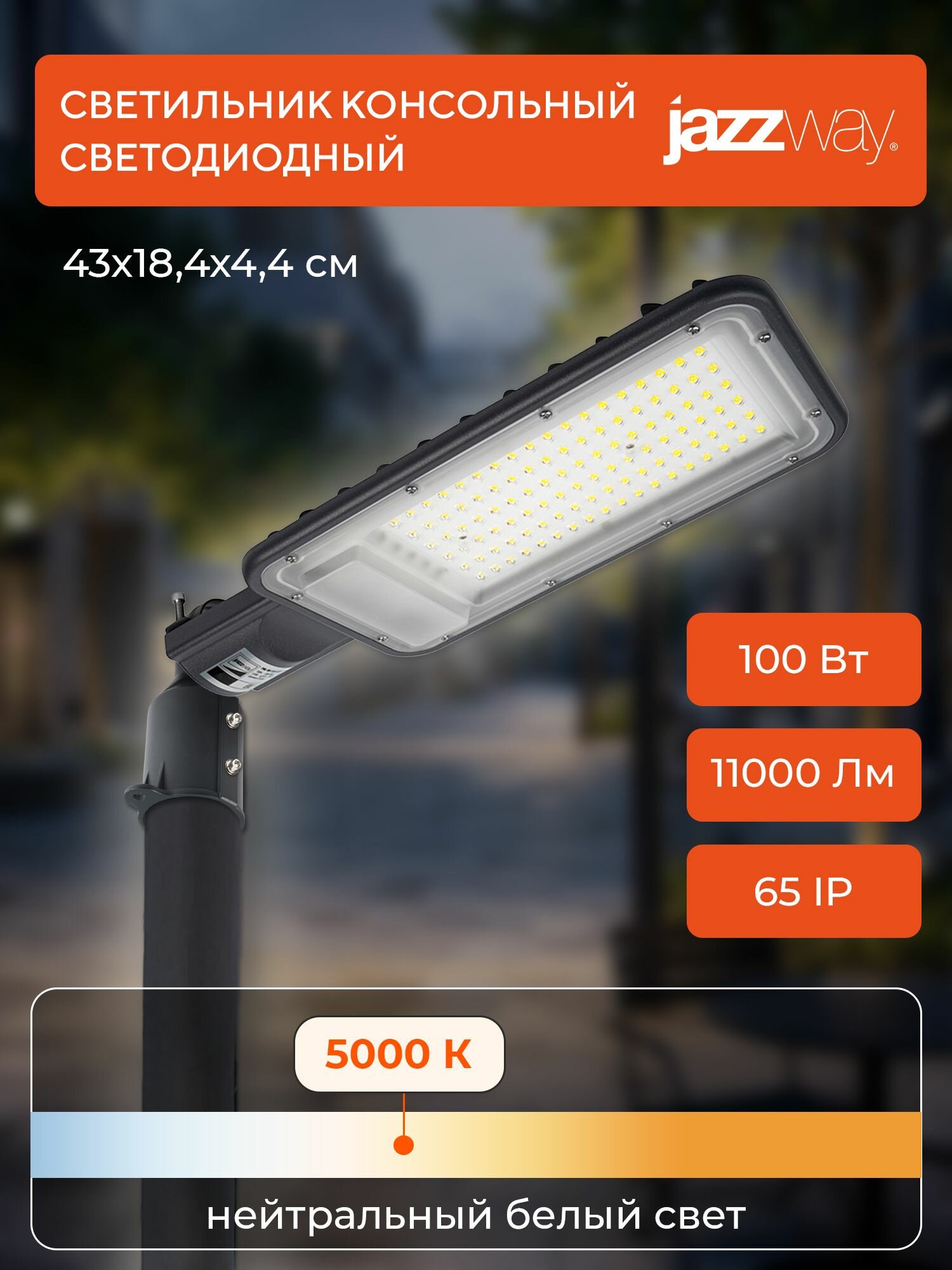Светильник уличный консольный Jazzway PSL 08 100w 5000K GR 140/70 IP65