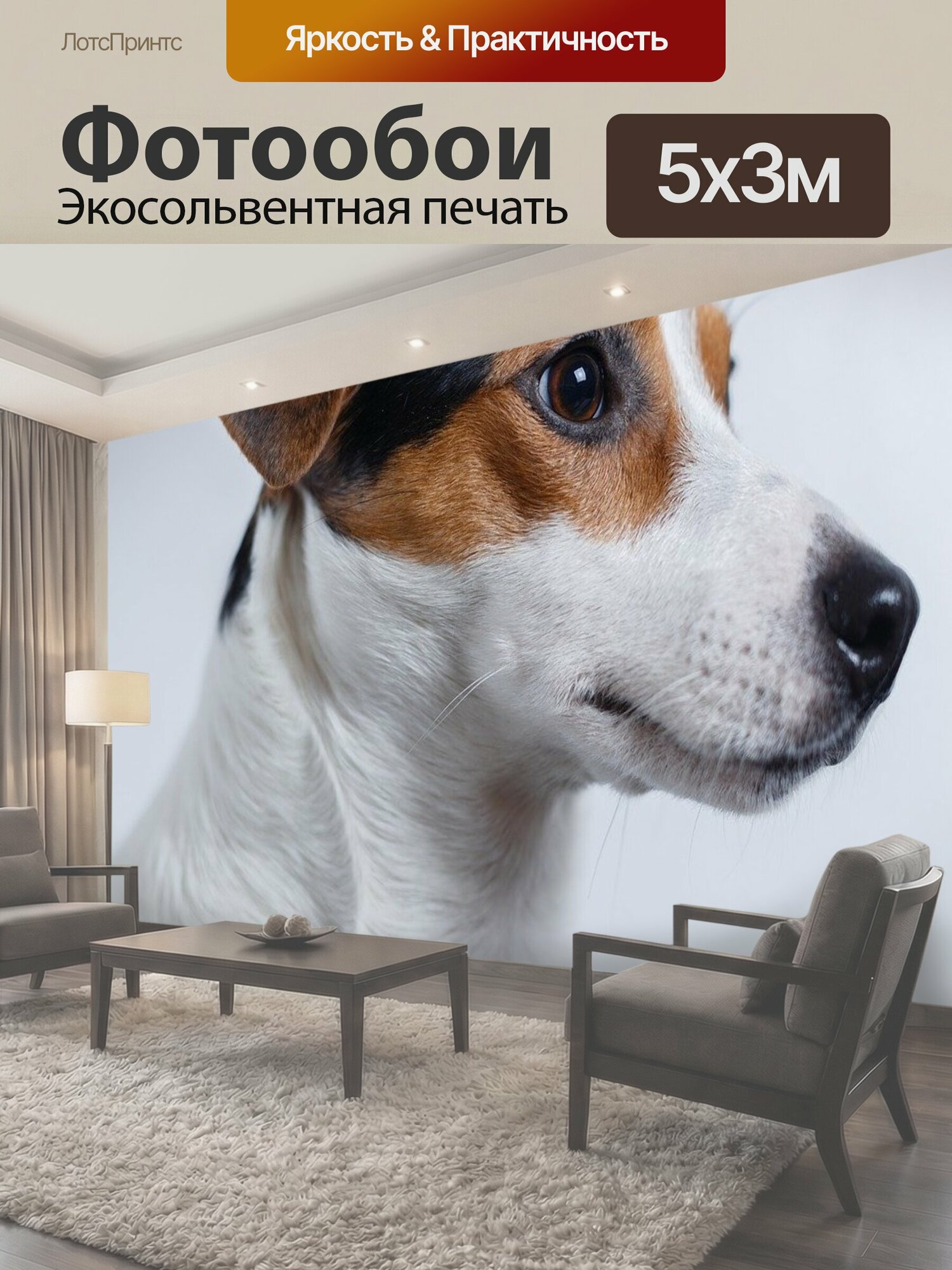 Фотообои "Собака, джек-рассел, терьер" 500x300 см. экосольвентная печать