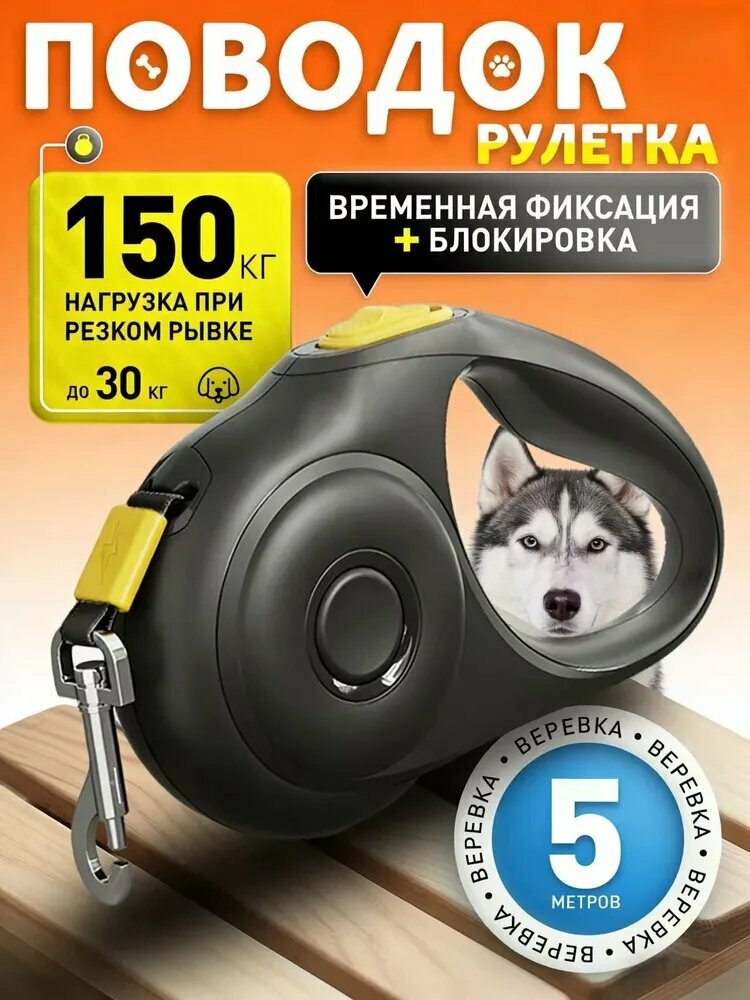 Поводок