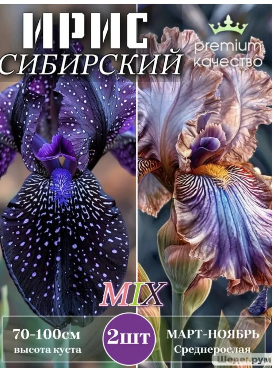 Ирис микс