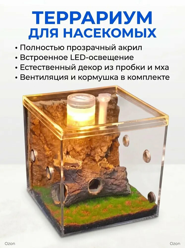 Террариум для пауков с щипцами-капельницами, клетка для улиток, вольер для сверчков, среда обитания древесных тарантулов