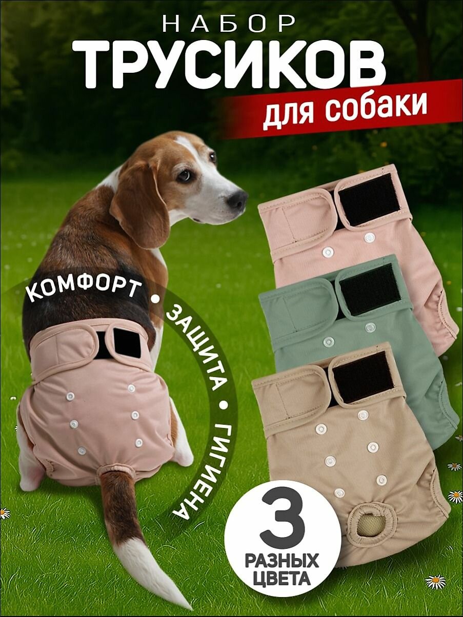 Трусы для собаки во время течки, 3 шт, L. подгузники многоразовые, впитывающие на липучках.