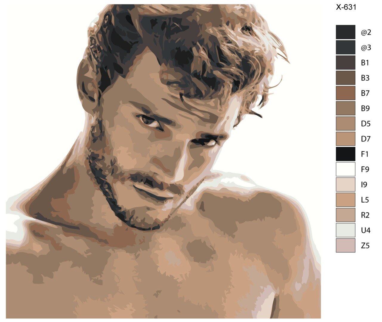 Картина по номерам X-631 "Актер Jamie Dornan (Джейми Дорнан)" 40х40