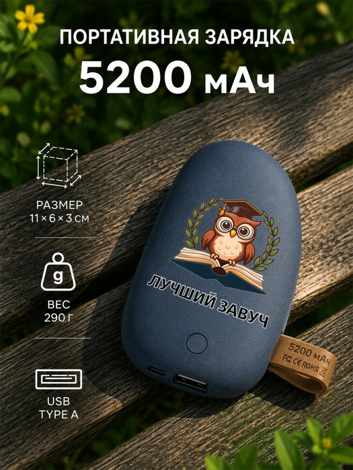 Внешний аккумулятор с надписью "лучший завуч"