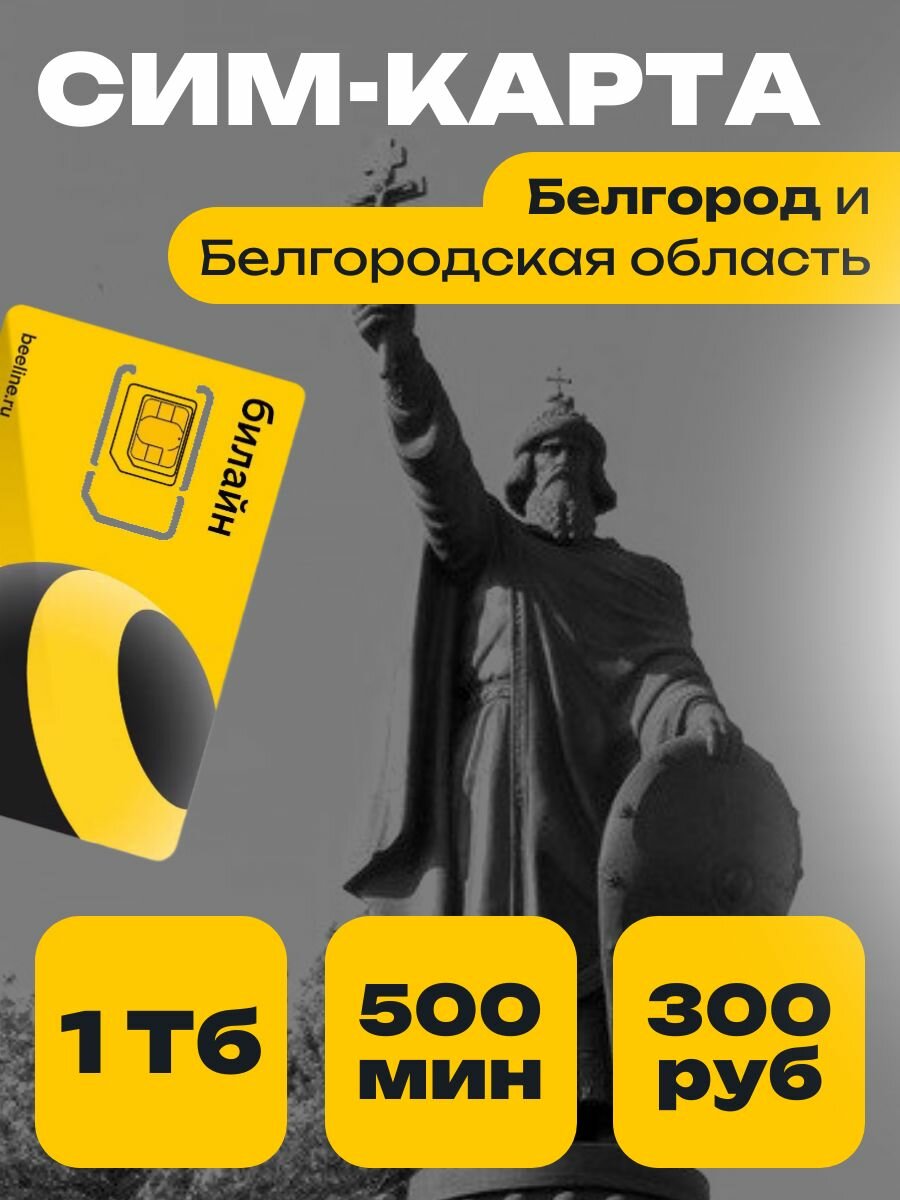Сим-карта Билайн тариф Эксклюзивный Белгородская область 1000 Гб + 500 минут за 300 руб.