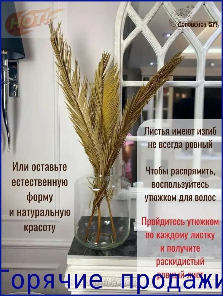Сухоцветы Пальмовые листья, 50 см, 300 гр, 3 шт