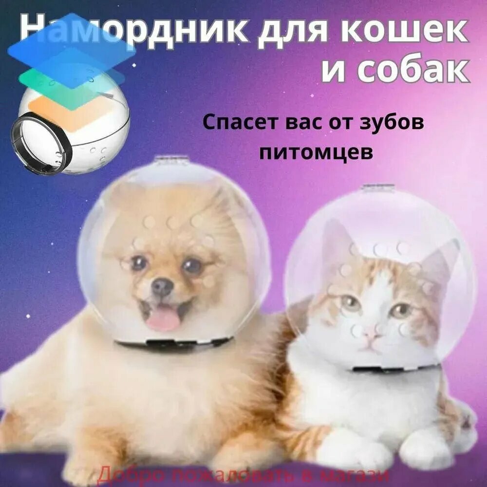 Намордник