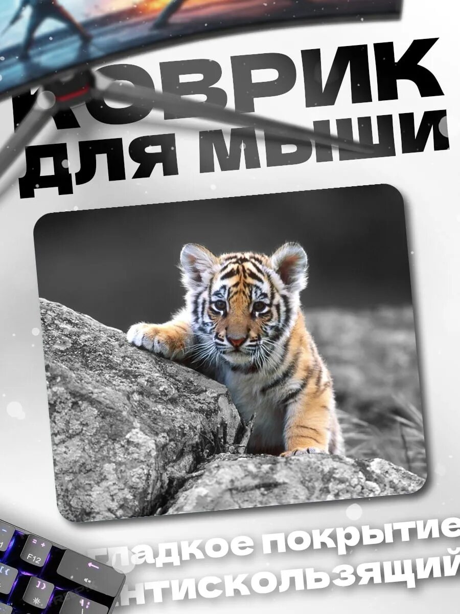 Коврик для мыши Тигренок на камнях