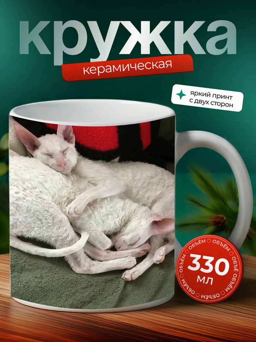 Кружка Колорадо-регдолл кот 48,
