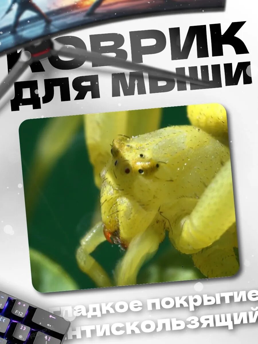 Коврик для мыши Желтый паук