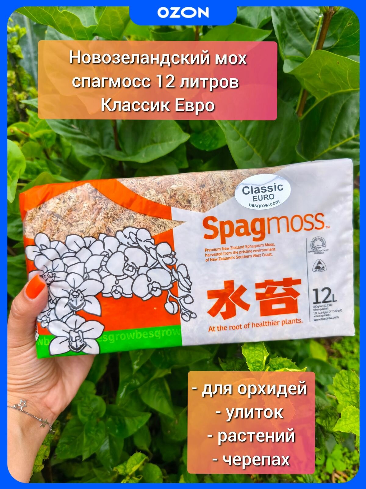 Spagmoss Мох