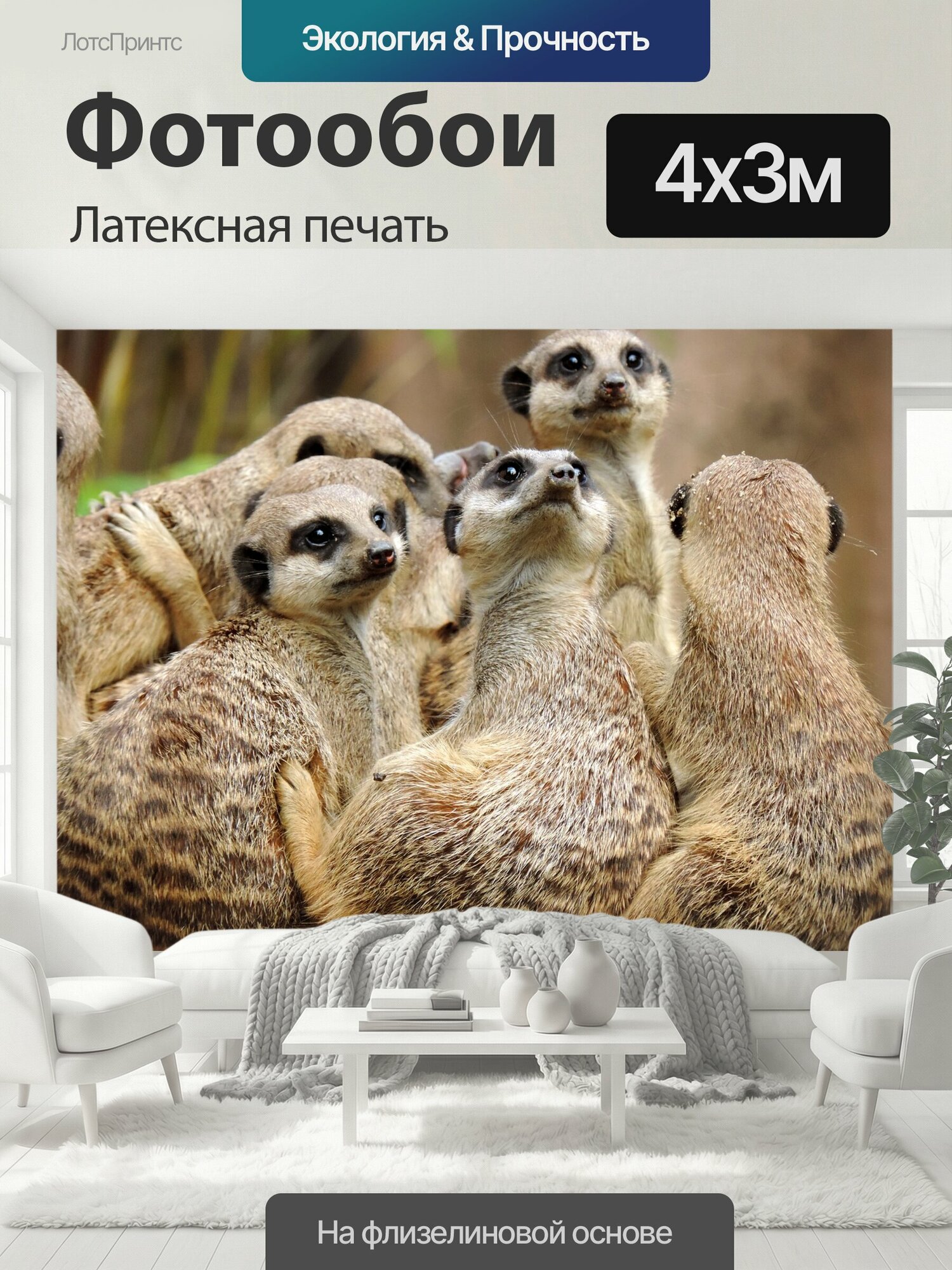 Фотообои моющиеся ударопрочные "Сурикат, мангуста, suricata" 400x300 см. латексная печать