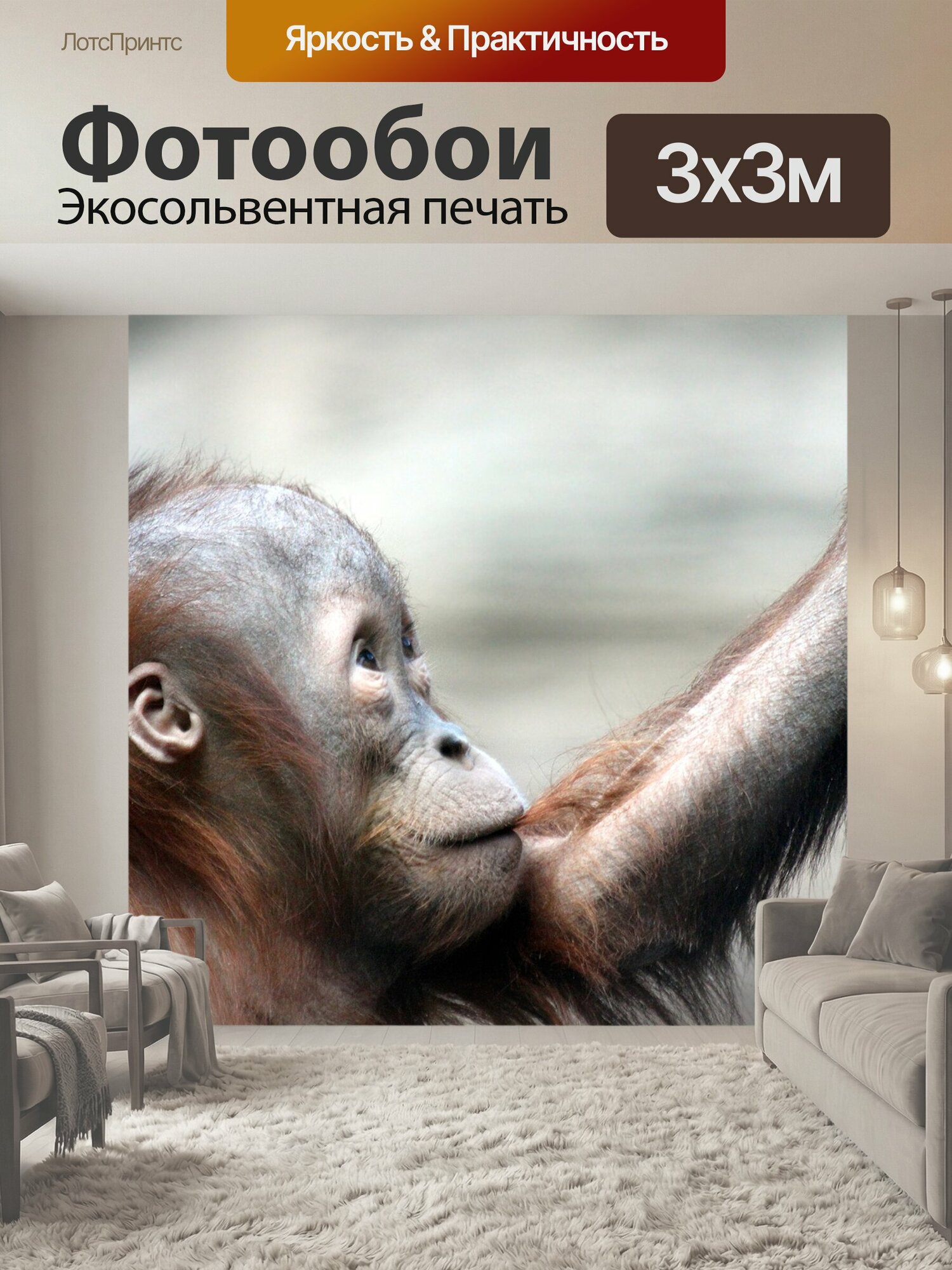 Фотообои "Орангутан, приматы, млекопитающие" 300x300 см. экосольвентная печать