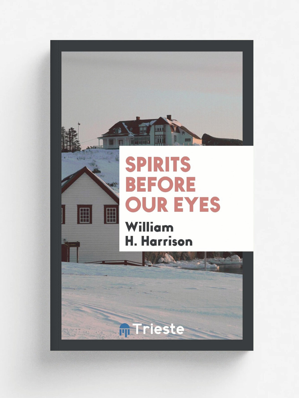 Spirits Before our Eyes