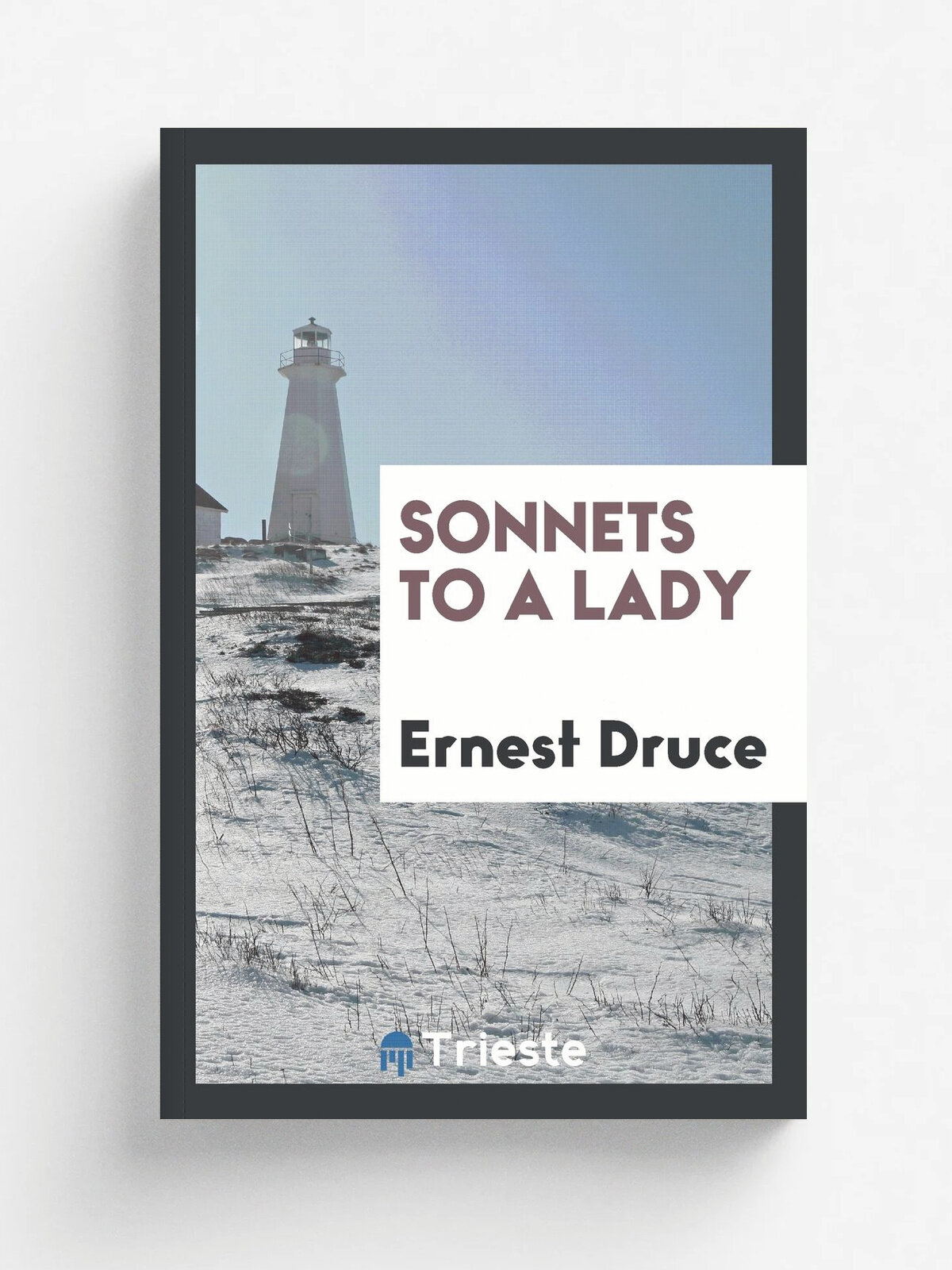 Sonnets to a Lady