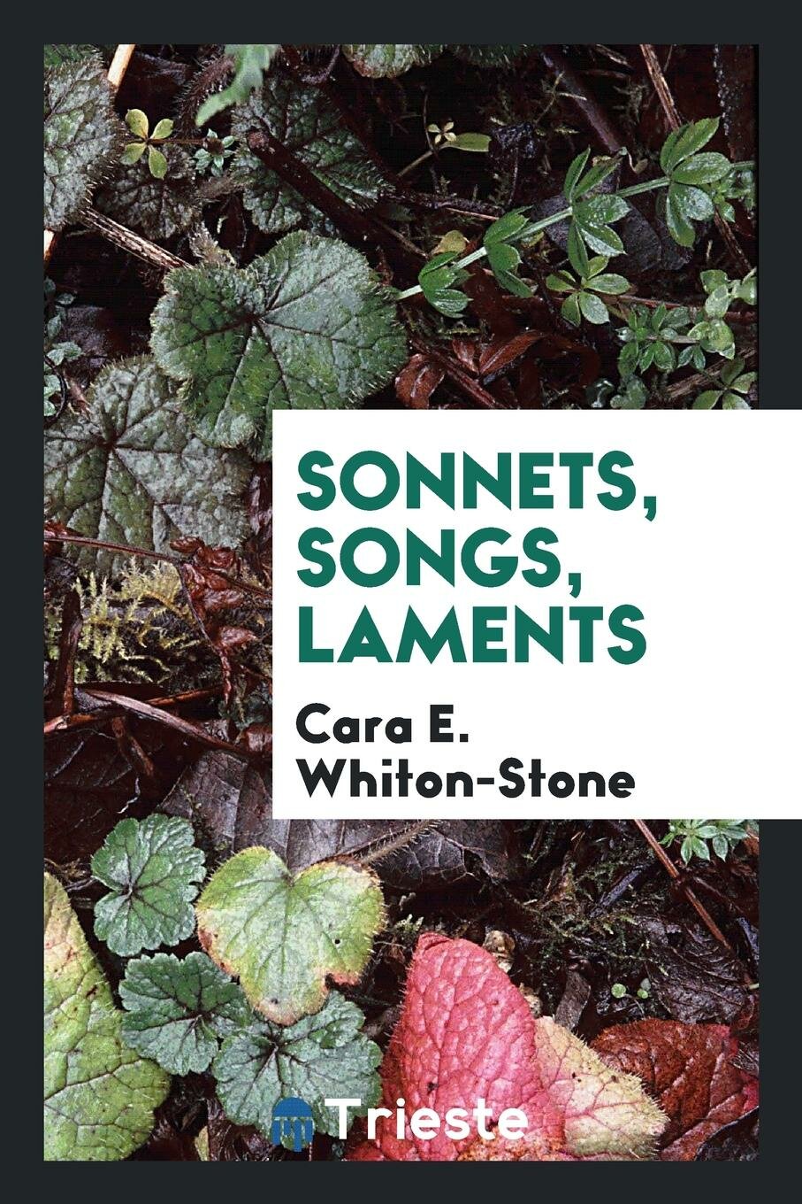 Sonnets, Songs, Laments — фото 1