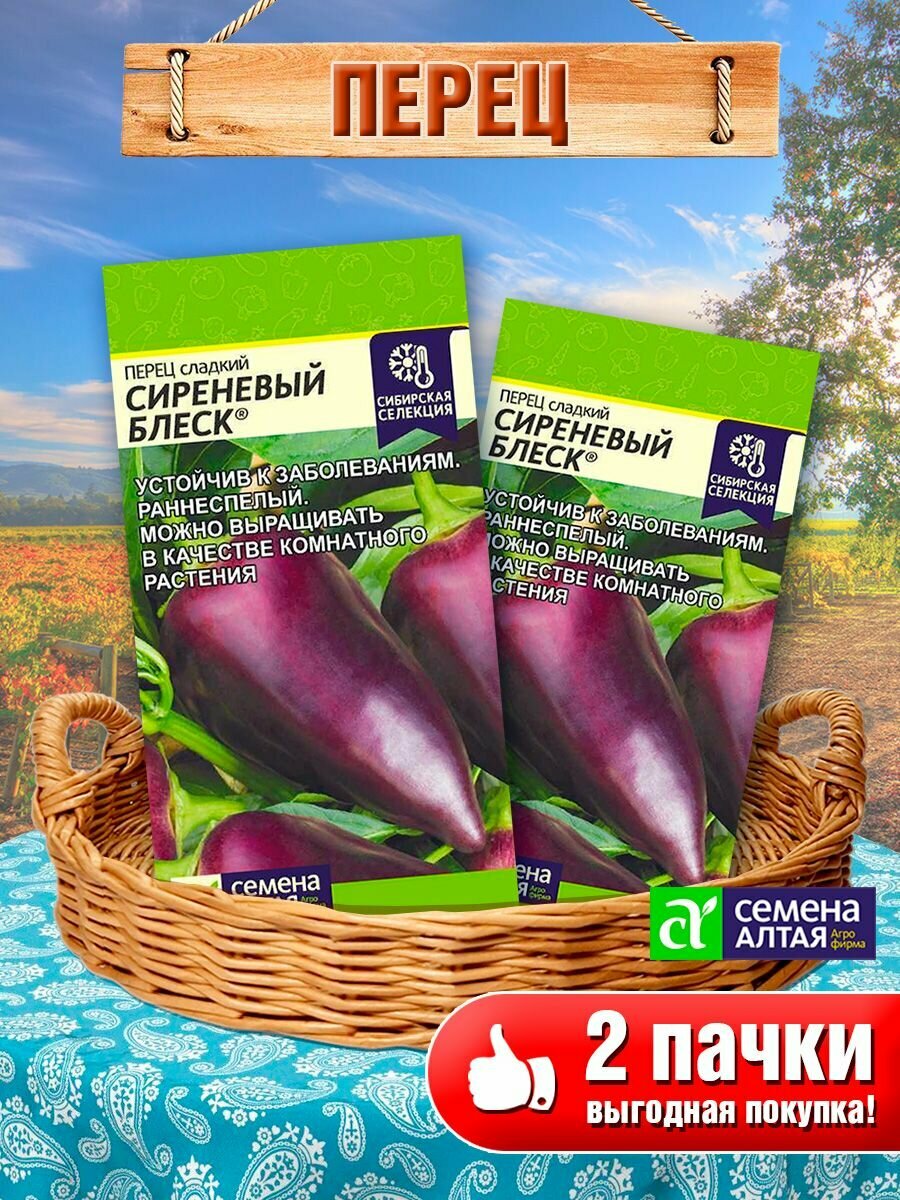 Семена сладкого перца Сиреневый блеск (2 пачки)