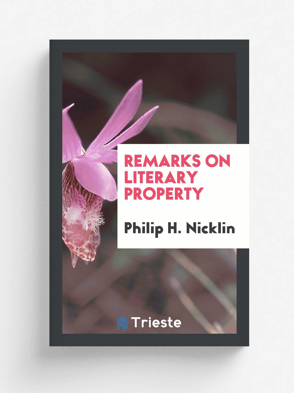 Remarks on Literary Property