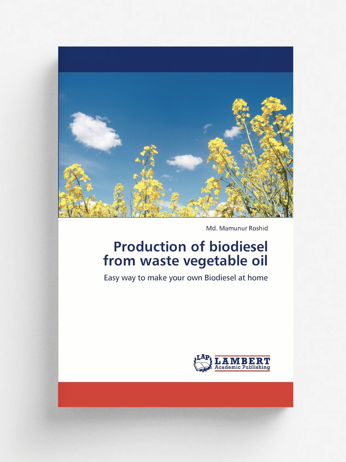 Production of biodiesel from waste vegetable oil