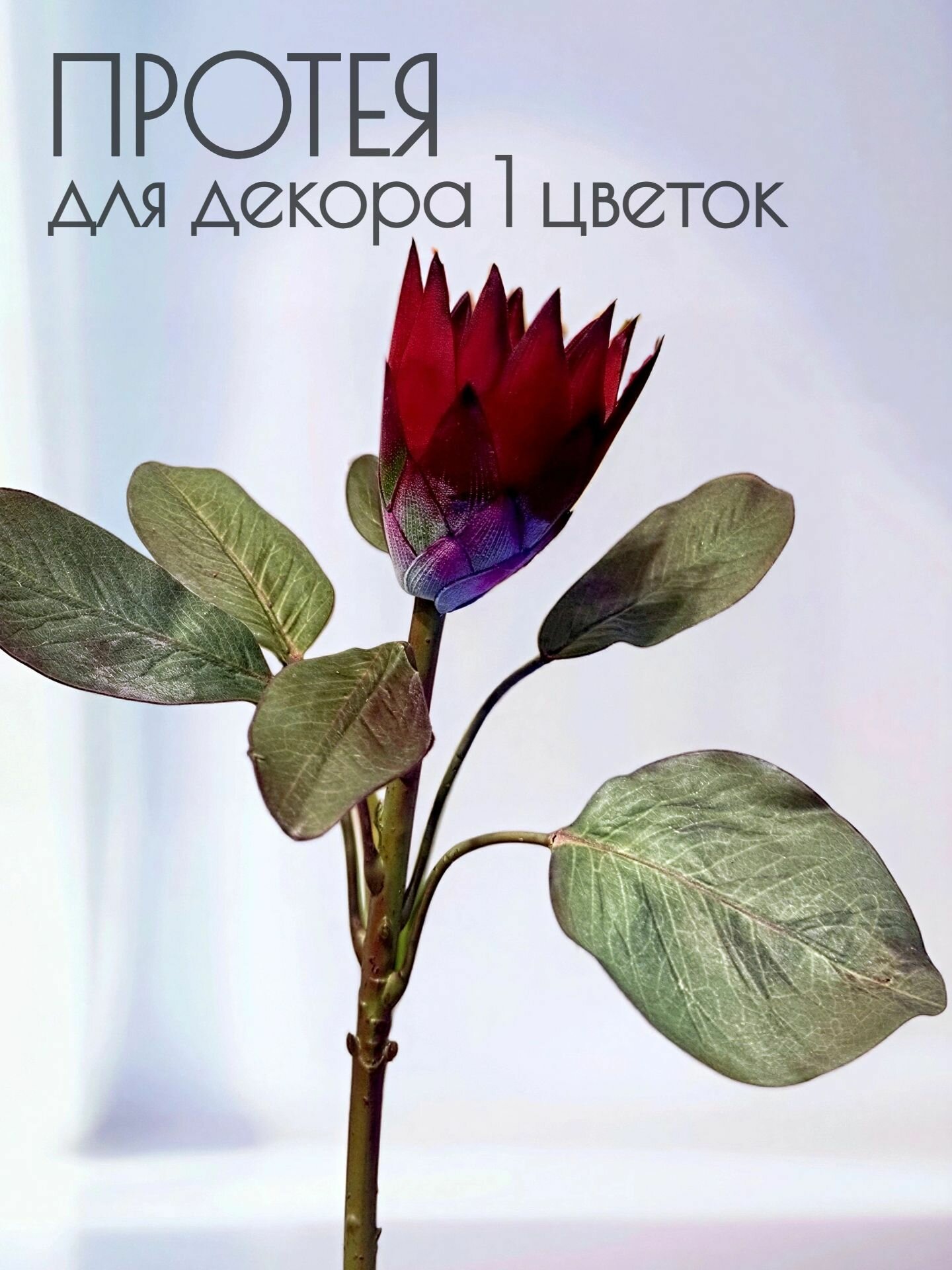 Искусственный цветок. Протея бордовая 1 шт,