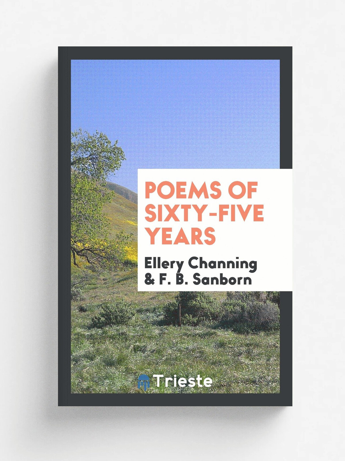 Poems of sixty-five years