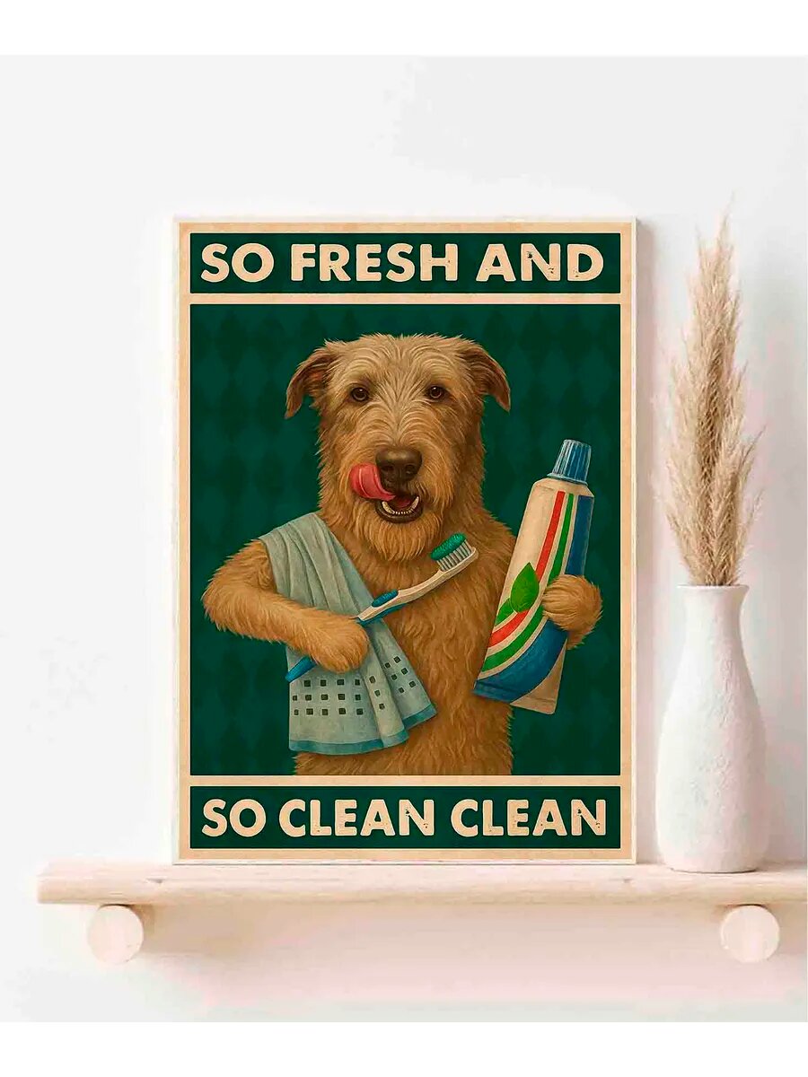 Ирландский волкодав, So Fresh And So Clean Clean, Плакат 30