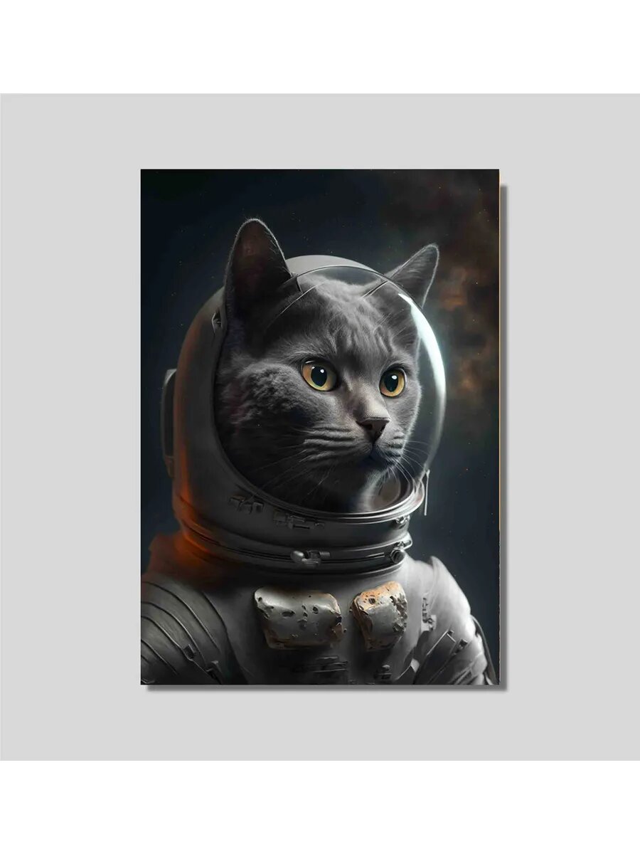 Космонавт Корат кэт 2, Плакат 30x42см